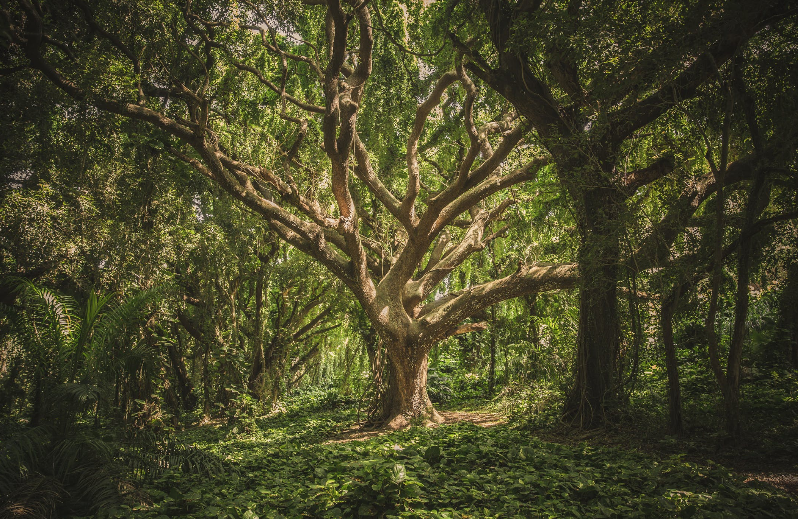 A chat with Neil Scruton | Illawarra Cycle Club